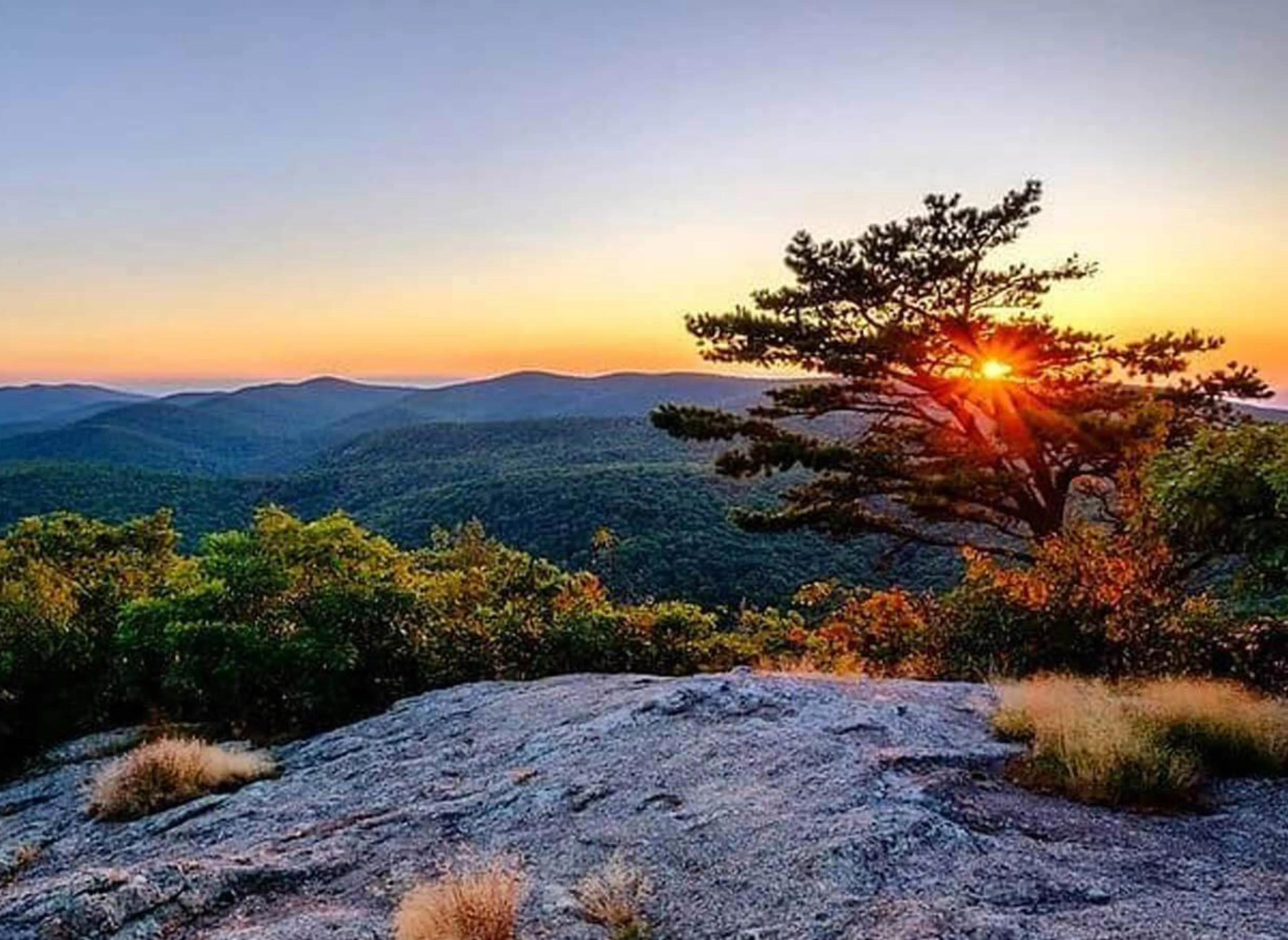 The Historic Inn at Oakdene