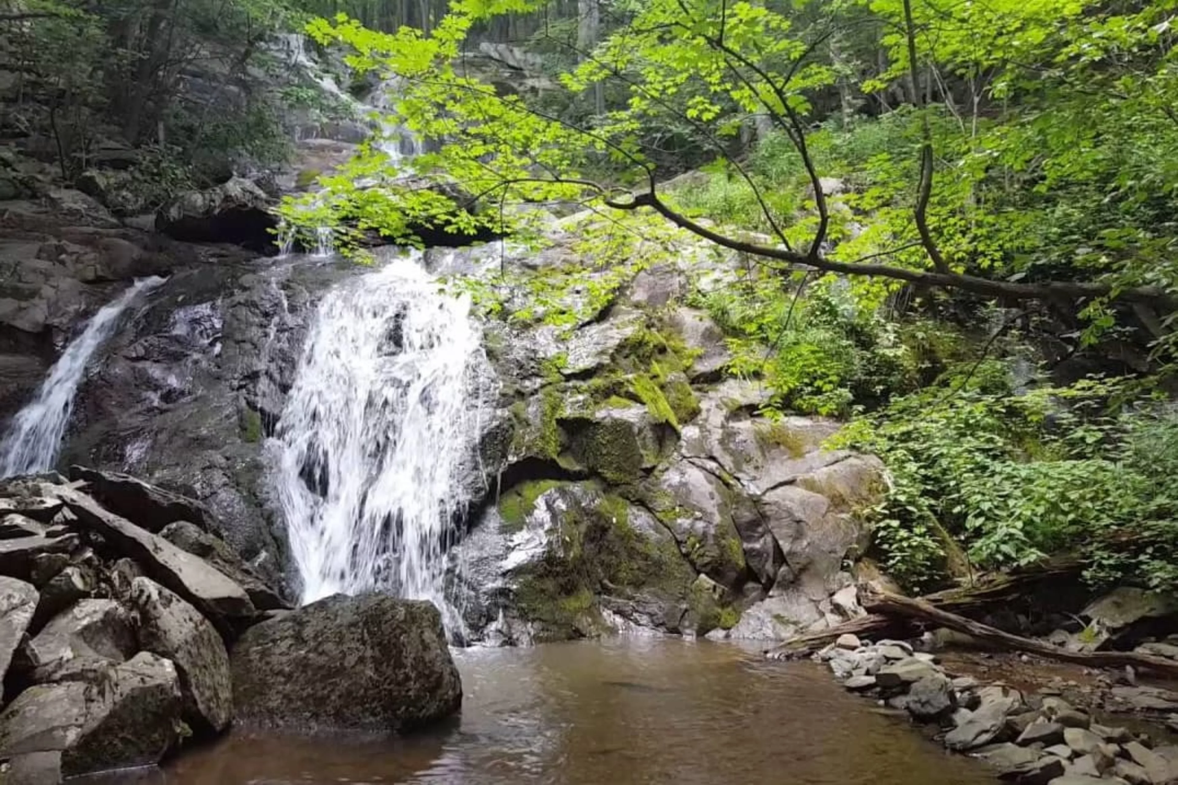 Upper Shamokin Falls Trail