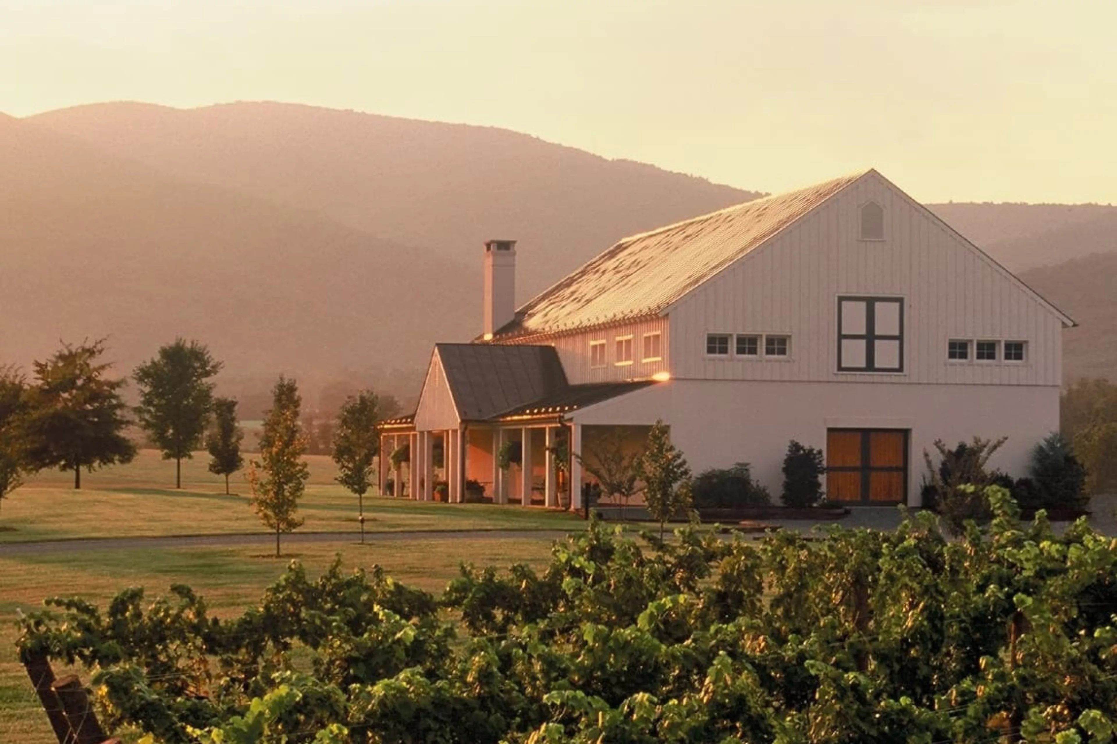 King family vineyards